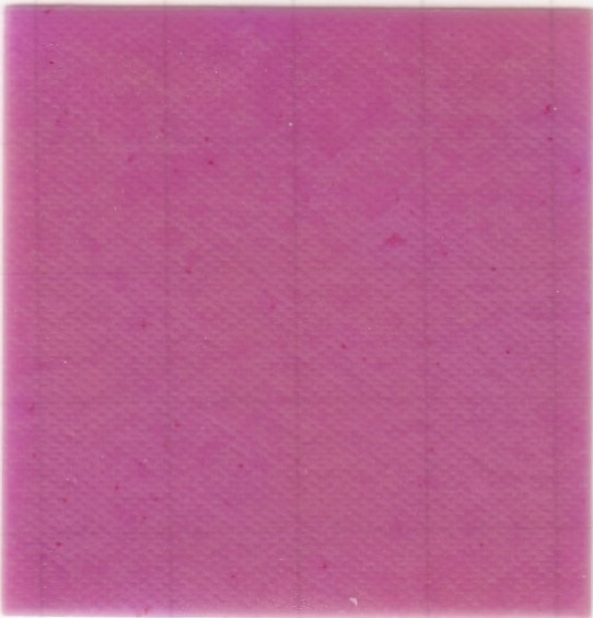 MC Media Pad 腸桿菌科快檢片 EB | 日澤國際股份有限公司