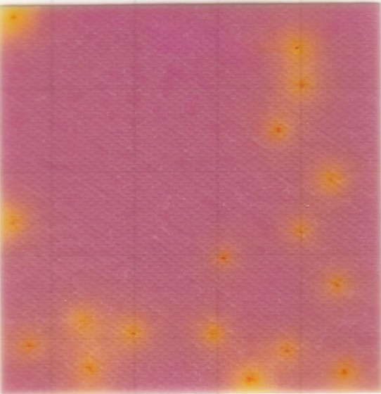 MC Media Pad 腸桿菌科快檢片 EB | 日澤國際股份有限公司